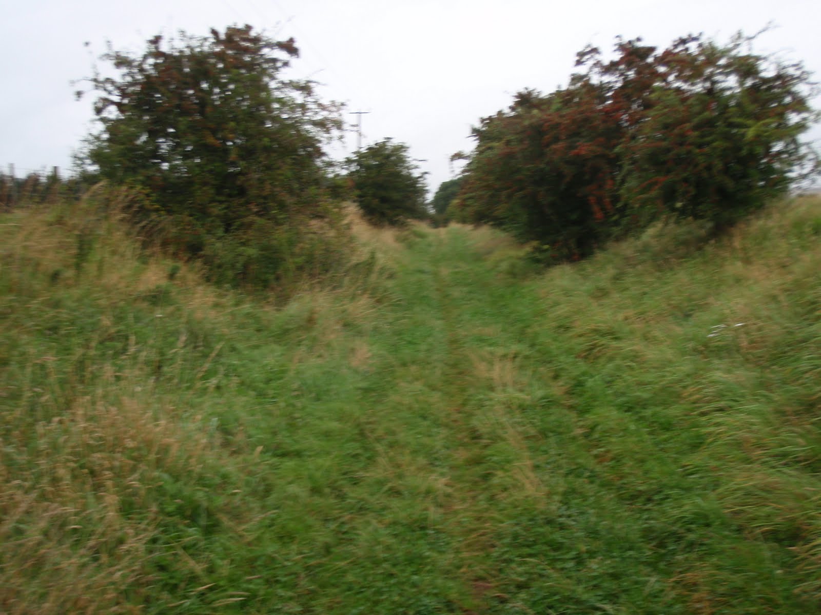 On the Way to Stornoway: Stage Twenty-Nine: Melrose to Oxton