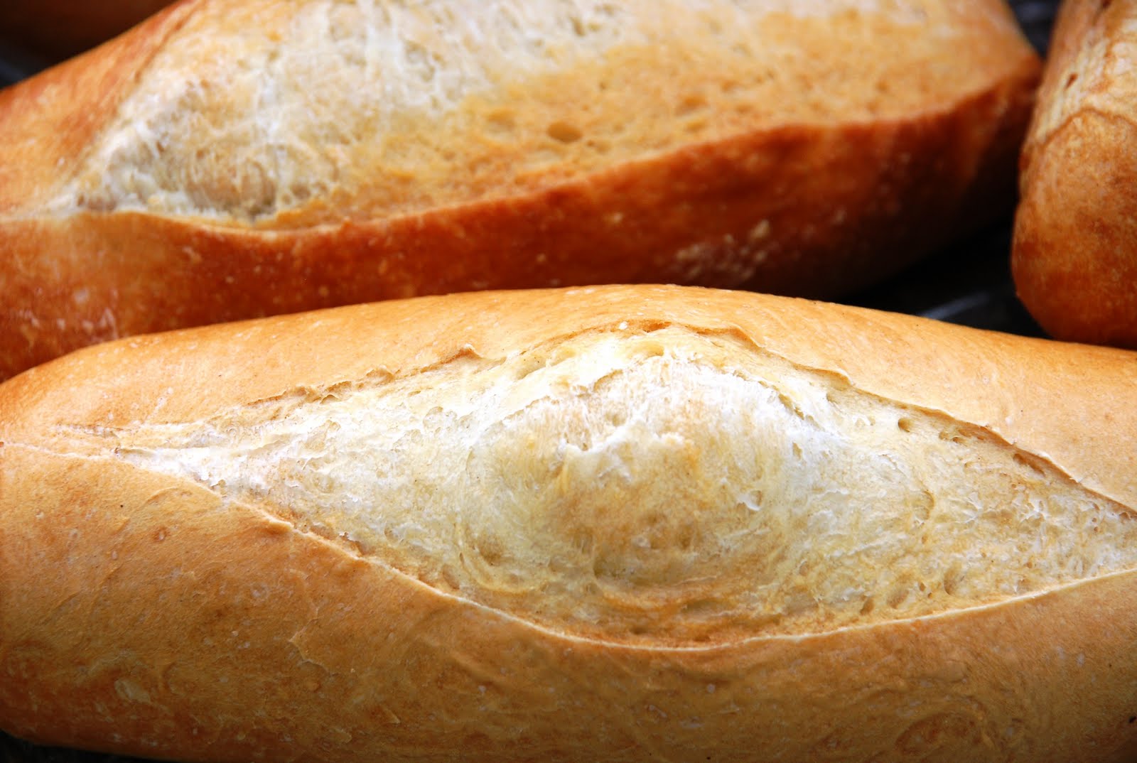 CupCakes and CrabLegs: Bolillos