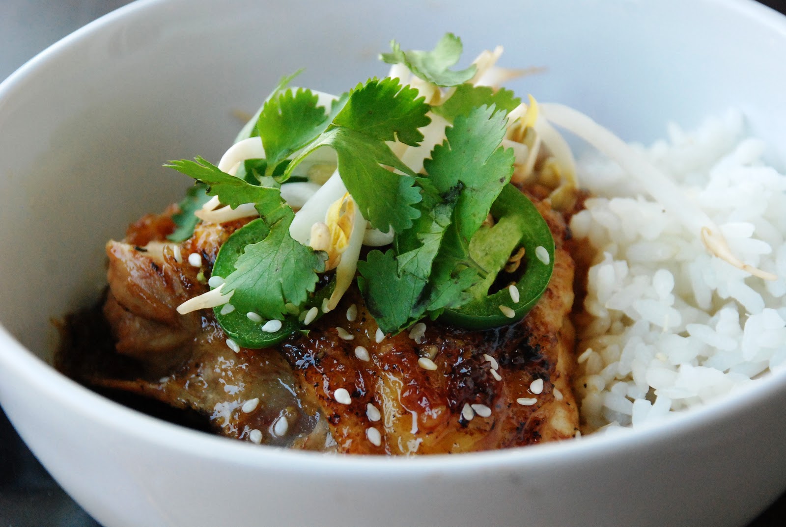 CupCakes and CrabLegs: Caramelized Chicken Ga Kho