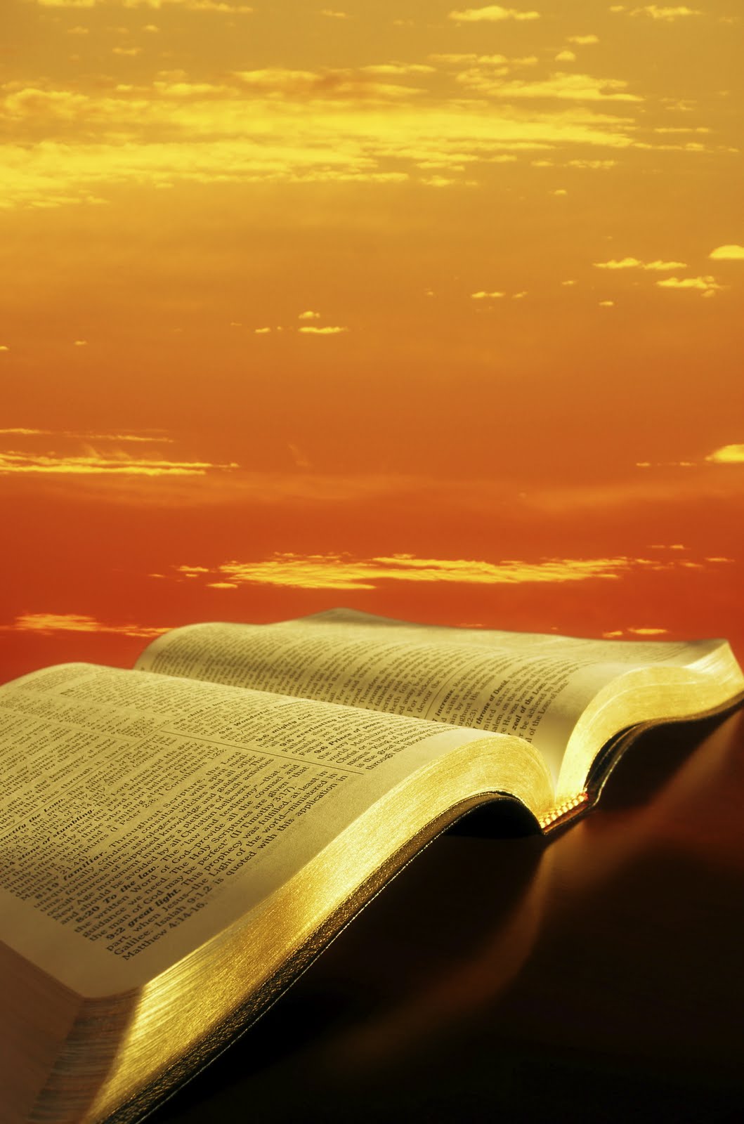 Dinosaurs In The Bible?