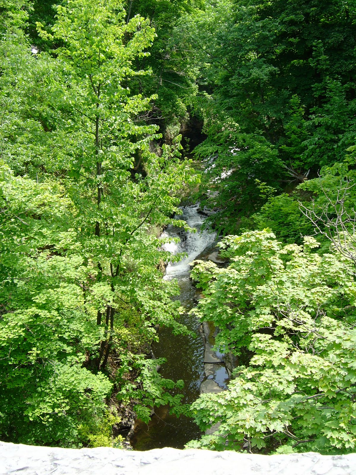 MoLewis57: Photos for Part 1 of my spring vacation