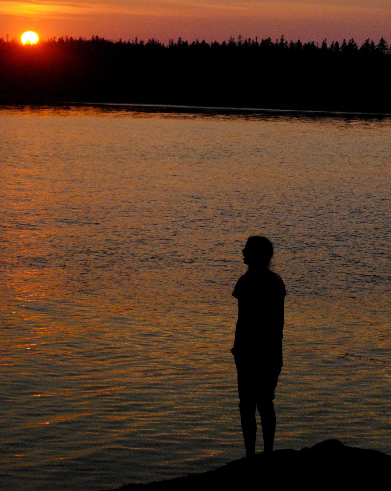 The Wilder Coast The Time My Yoga Teacher Forgot To Wear Panties