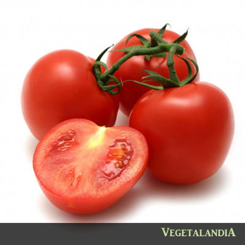 vegetalandia: EL TOMATE
