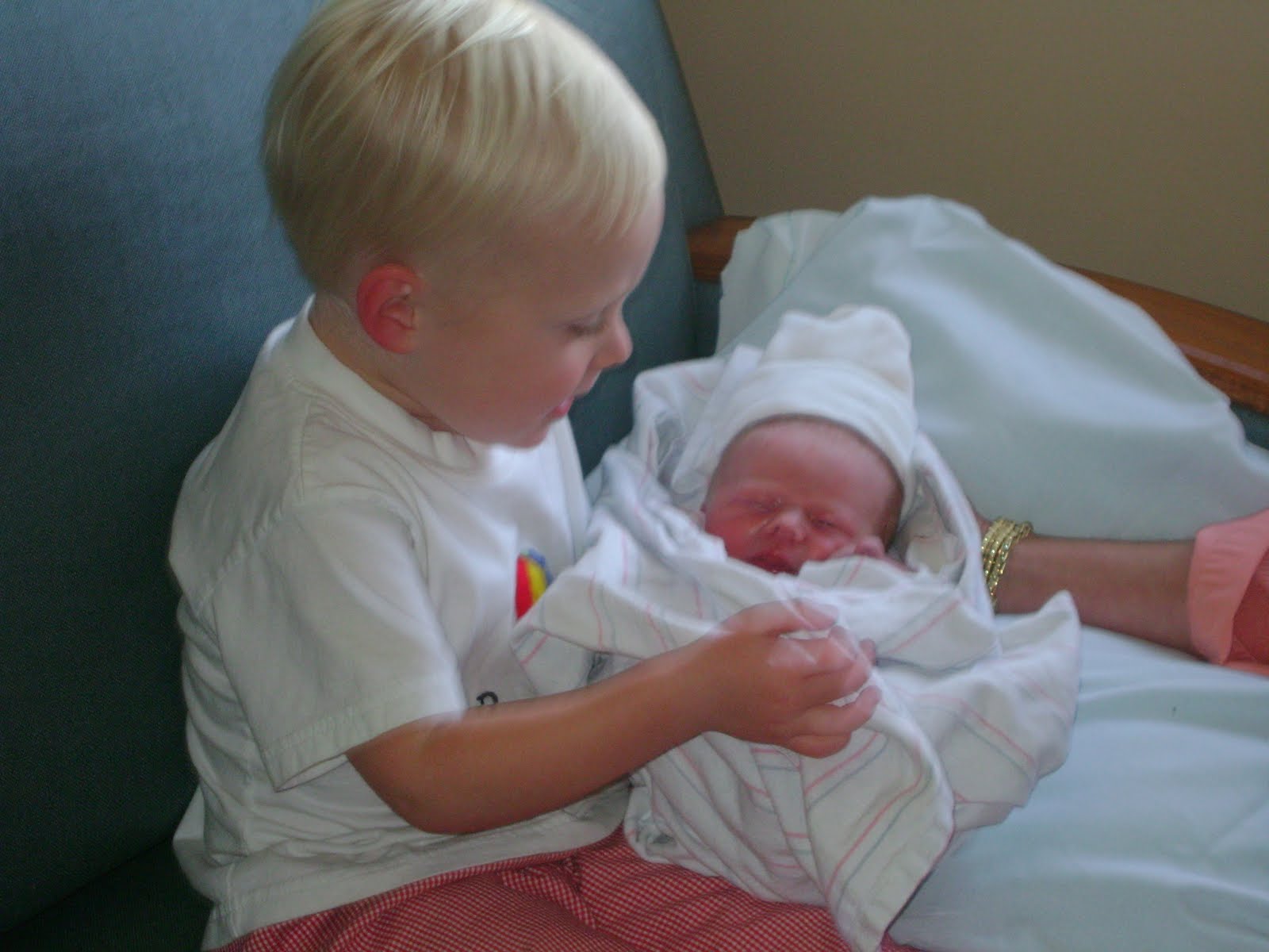 The Diddle Family Adventures...: Benton Lillard Diddle