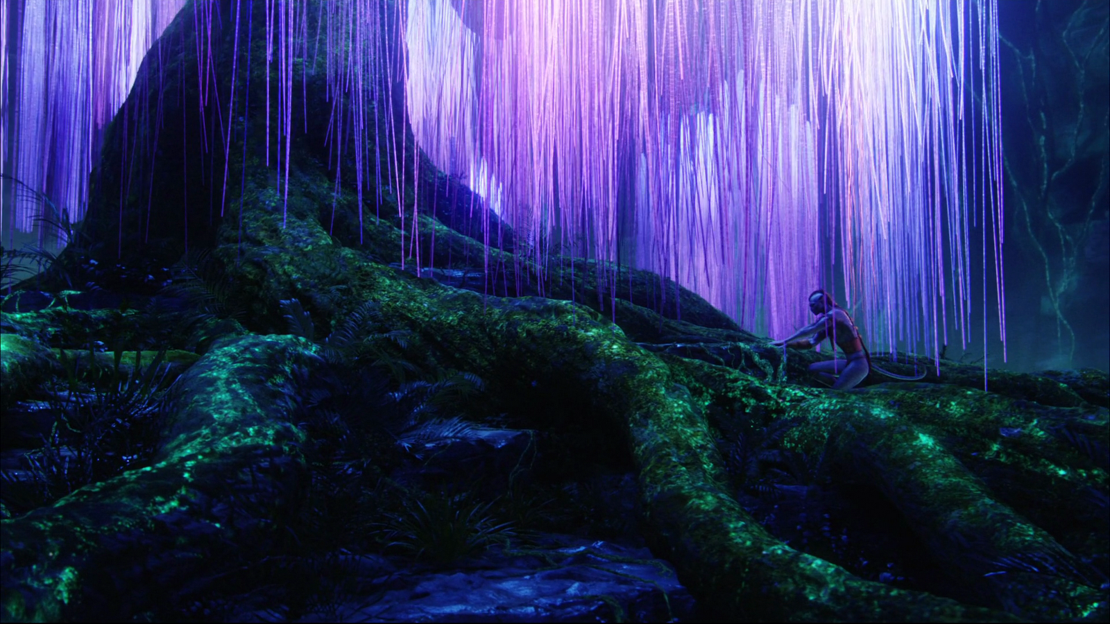 Avatar wall papers: Avatar Wall Papers