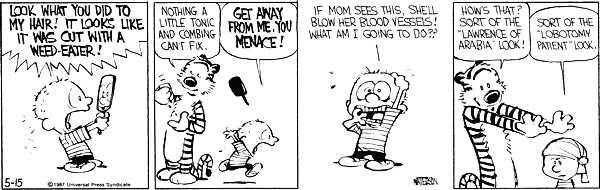 I estimated how much damage that Calvin did during the entire duration ...