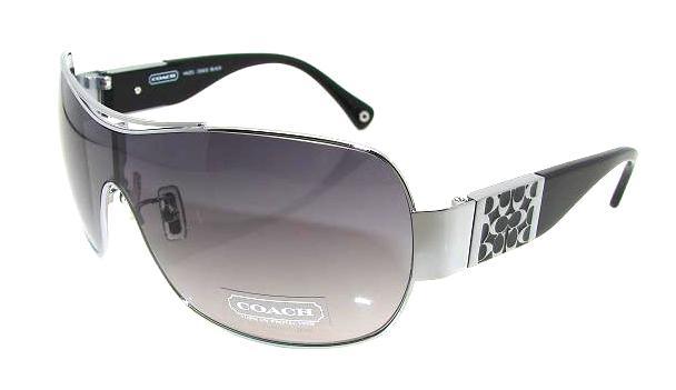 Fabulous Shoppe: COACH "HAZEL S563" Sunglass