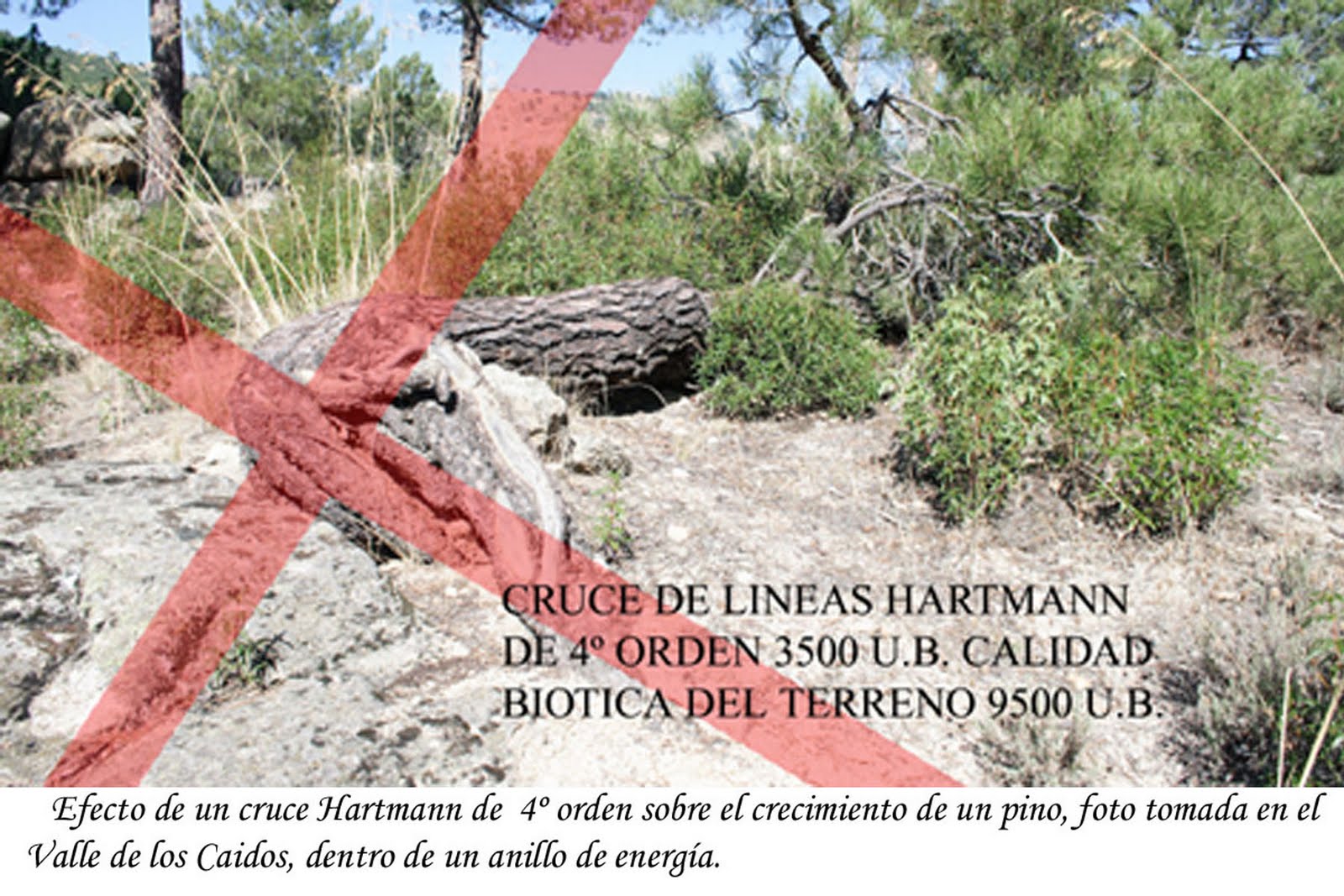 El Blog de Brunet: Energias Invisibles, Lineas de Hartmann, como ...