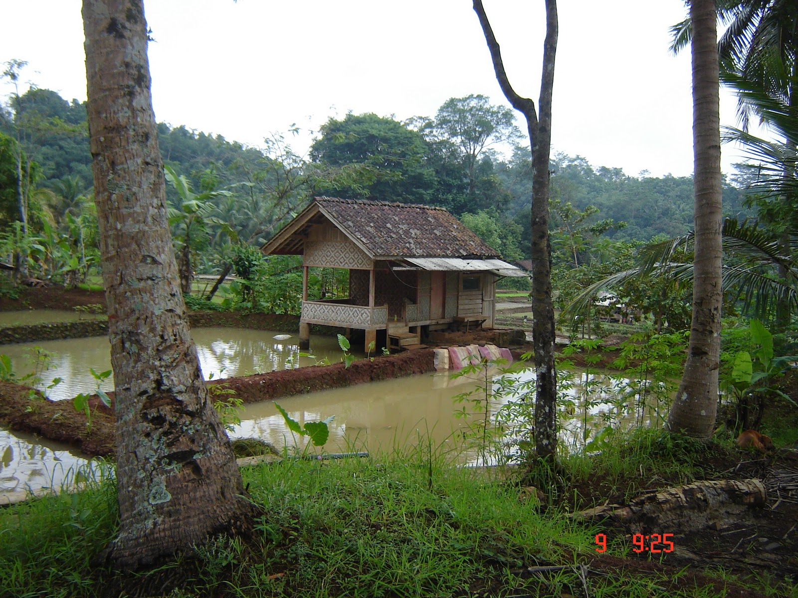 Wisata Desa Jelat