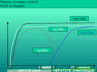 020F-foie-Diapositive6.GIF