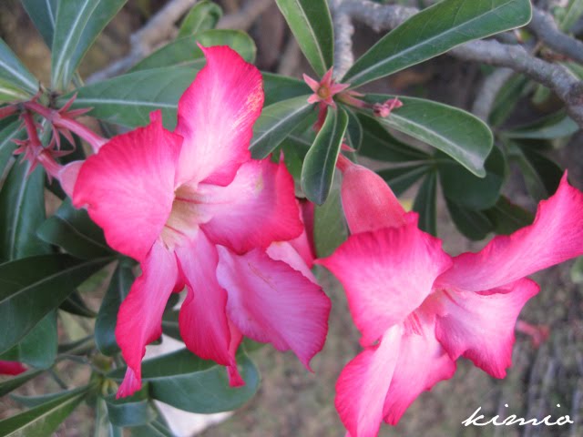 You live. You learn.: Kalatsutsi.