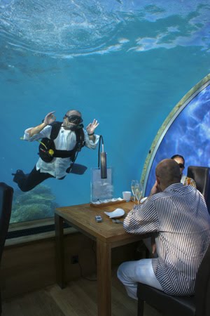 ROBERT MUJAGIC: Maldives Photo Shoot - Floating Chef's