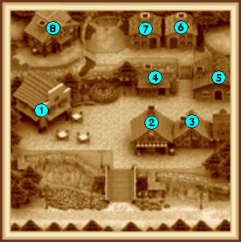 Harvest Moon: Grand Bazaar Guide
