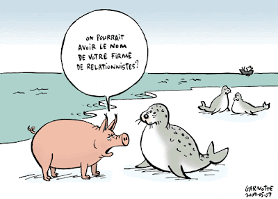 Blog de Philippe Leclair: What the phoque?!?