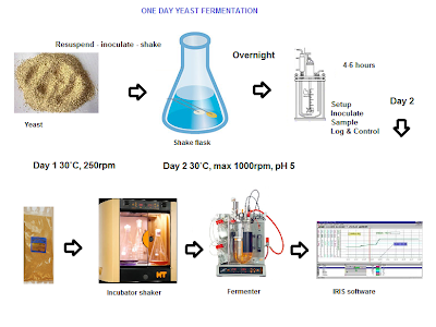The Life & Times Of Mr. Bioreactor: Overview of our experiment