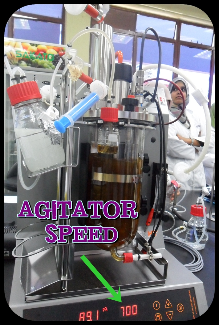 The Life & Times Of Mr. Bioreactor: Day 3: Time for inoculation and ...