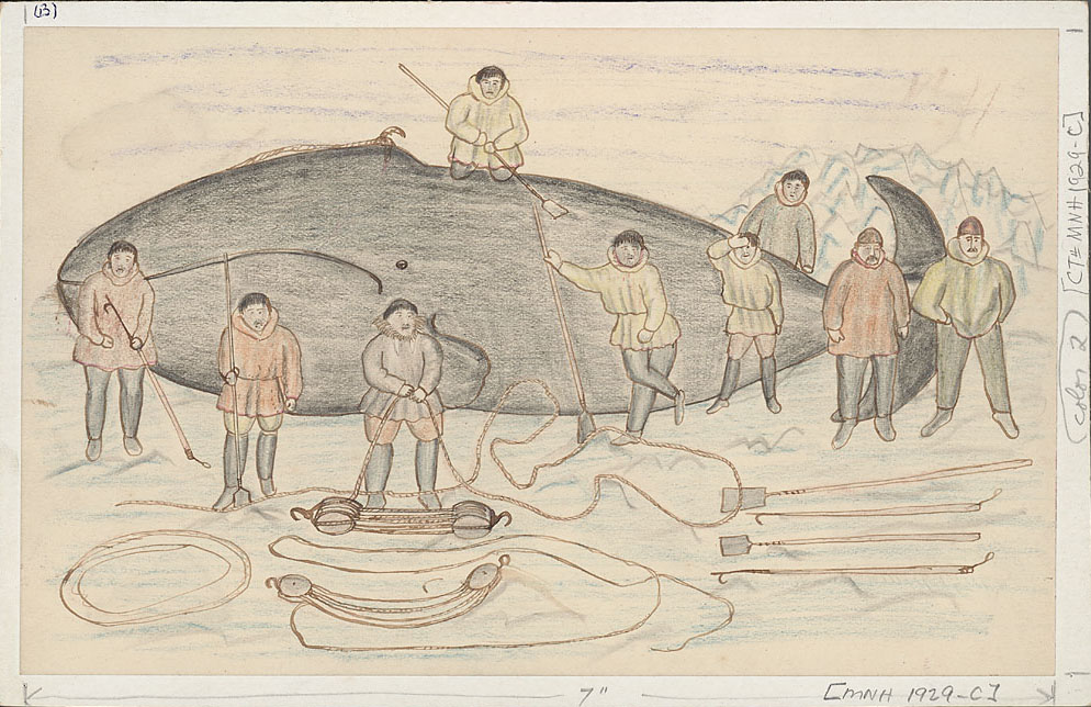 Smithsonian Collections Blog: Indigenous Whaling