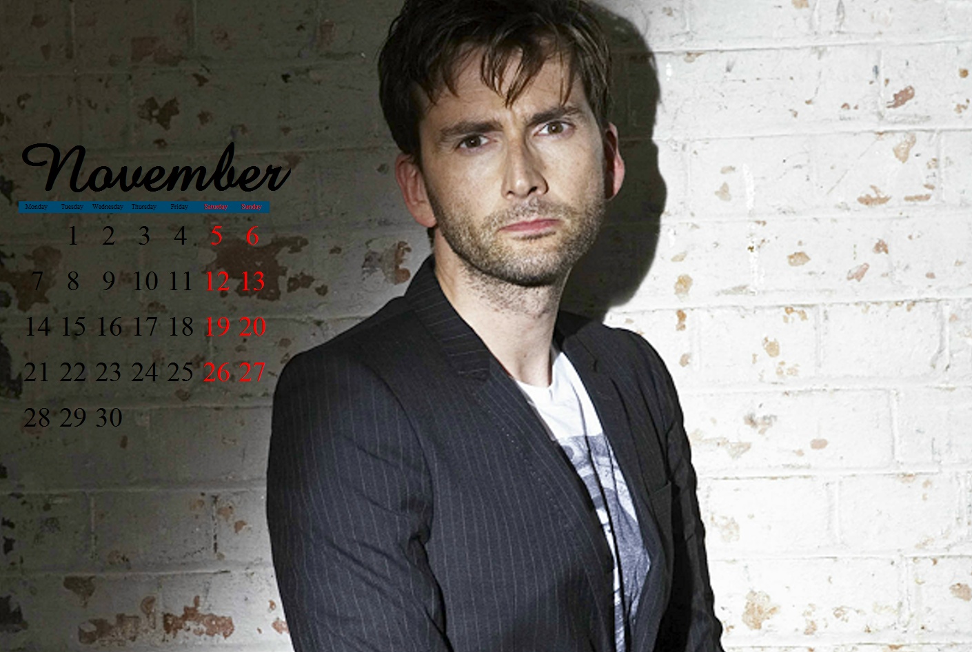 David Tennant 2011 Calendar
