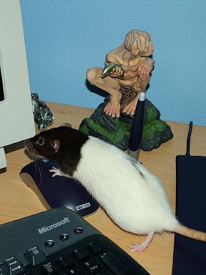 CEBOLLA GATE: Rata peruana sería nuevo personaje de serie "Heroes"