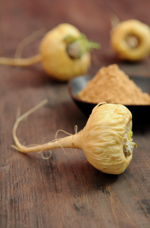 Noticias: LA MACA CONQUISTA NUEVOS MERCADOS