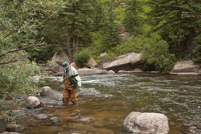 Natural Images by Sally Vennel: A DRIVE TO TAYLOR RESERVOIR