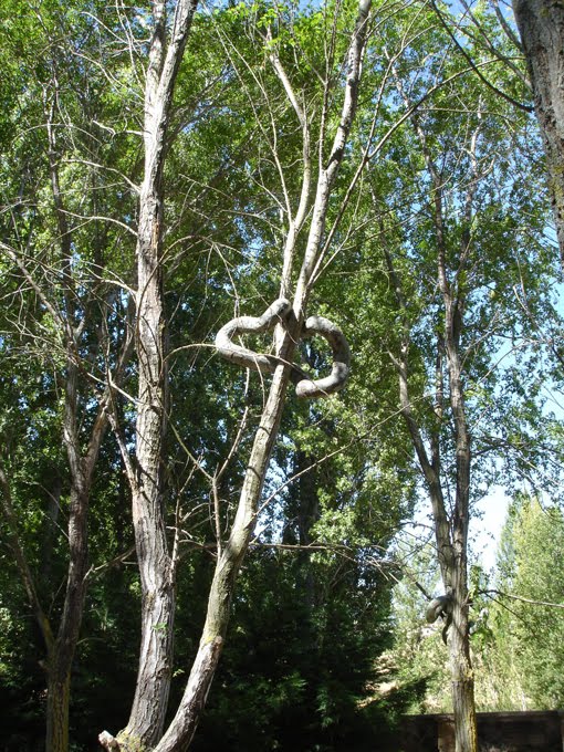 Blog Oficial de Bodo Rau, Artprojects: Arte en la Tierra: 5 Artistas ...