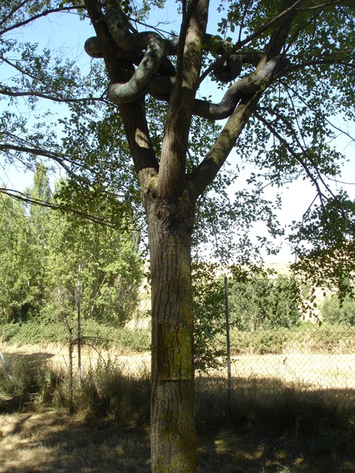 Blog Oficial de Bodo Rau, Artprojects: Arte en la Tierra: 5 Artistas ...