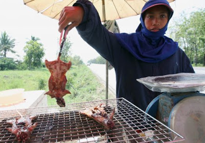 FINA SINTONIA 2 - O Blog do Lázaro: Tailandesas vendem ratos assados ...