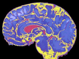 HISTORIA DE LA HISTORIA: LENIN