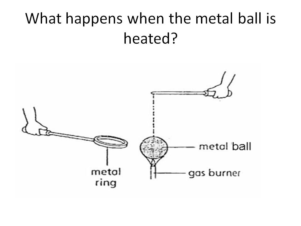 Endure: P4 science - 4 diligence
