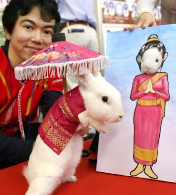 Funny Free Pics: Rabbit Fashion Show In Japan