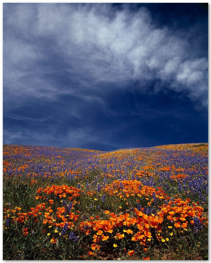 Funny Free Pics: Unbelievable Photos Of Nature