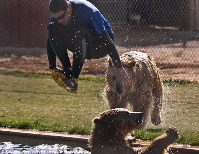 Funny Free Pics: Chasing Games With Grizzly Bears