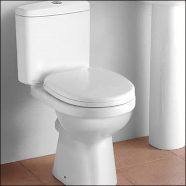 Top 5 toilet designs complete with a pan, seat and cistern at Victorian ...