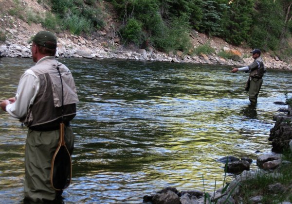 Pescar peces de agua dulce - Animales, Naturaleza