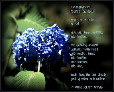 love hydrangeas and this quote/scripture flora and fauna Pinterest ...