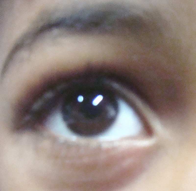 julho 2010 :: Peixes na escola