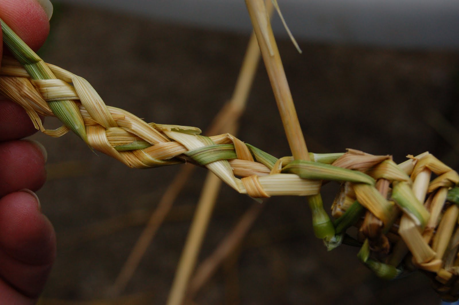 Auntie Anne's extremely useful stuff: How to make a corn dolly