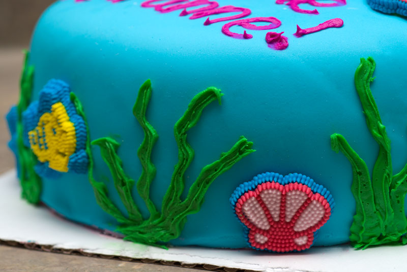 Scuba Diving/Under the Ocean Birthday Cake