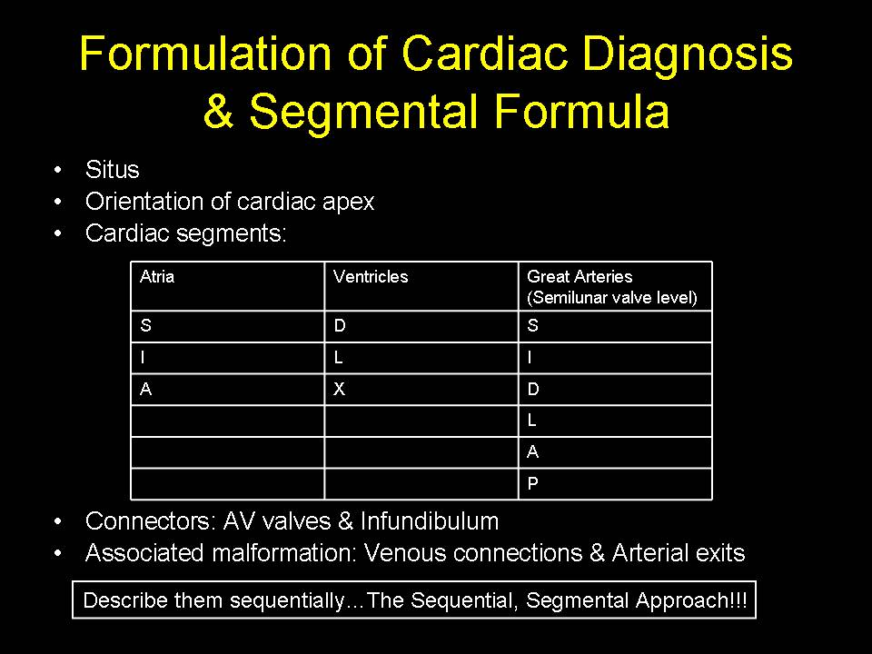 Pedi cardiology: Anatomy: Terminology: Van Praagh's segmental formula