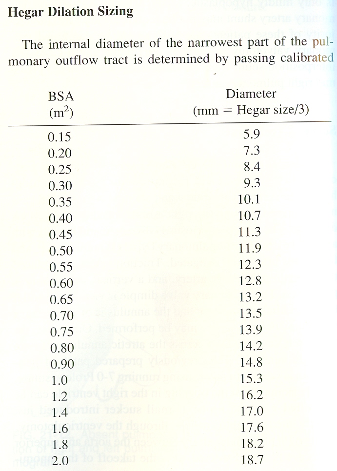 Pedi cardiology: Surgery: Hegar Sizing of RVOT