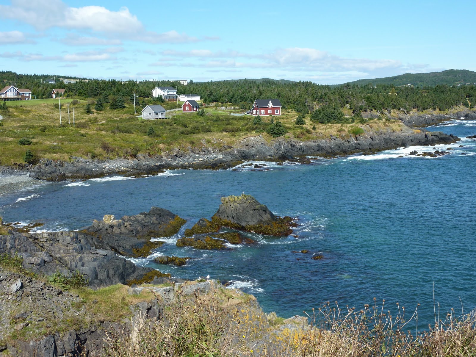By the Sea: Irish Loop, Newfoundland