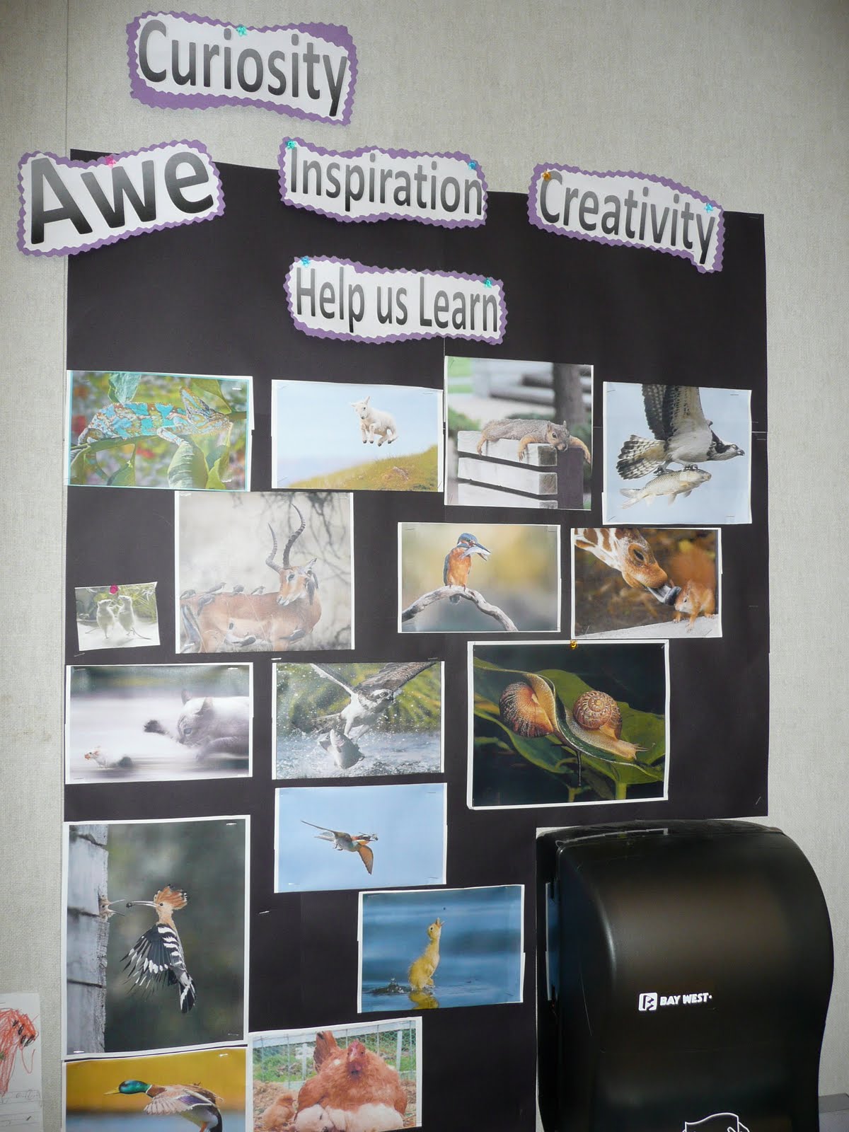 Finding Ways for All Kids to Flourish: The Power of Awe, Fascination ...