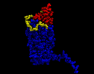 MOLGRAPH3D: DARC molecular dynamics