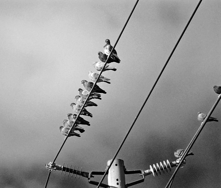 Learn Photography: Diagonal Lines