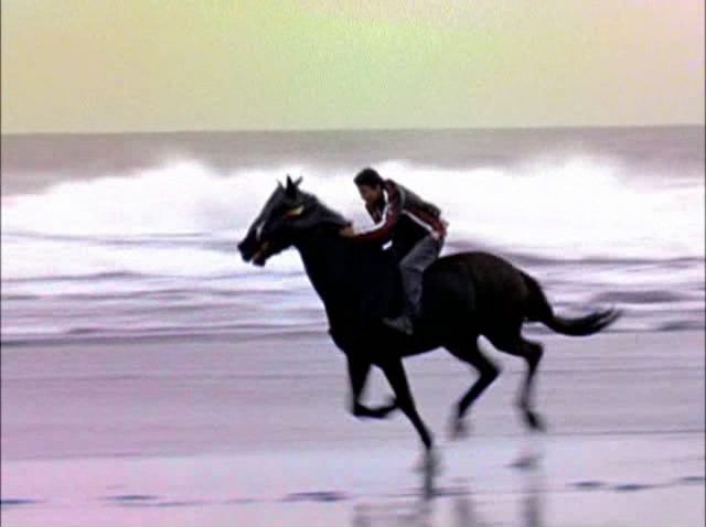 Henshin Grid: Horses in Power Rangers