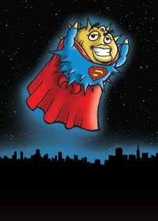 HiR Information Report: May 2010