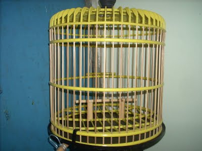 TERKUKUR: DinZafiz...: Sangkar merbok & Sangkar layang.....