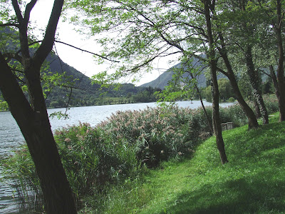 stella di sale: Spinone al lago