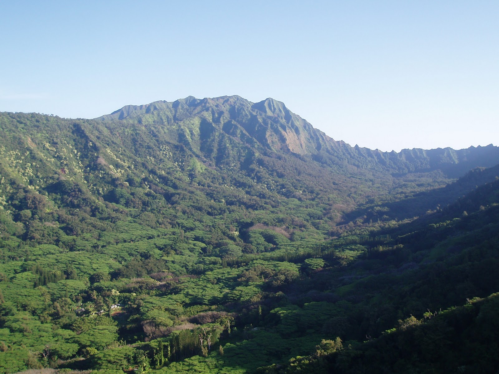 Hike2Grind Hawaii: Kalihi Valley and grinds at Mix Plate Cafe